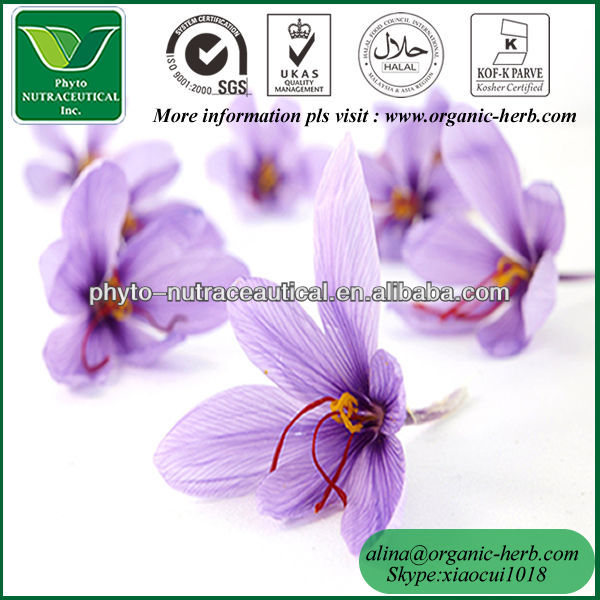 Organic saffron extract,crocin,China PNI price supplier - 21food Organic saffron extract,crocin,China PNI price supplier - 21food